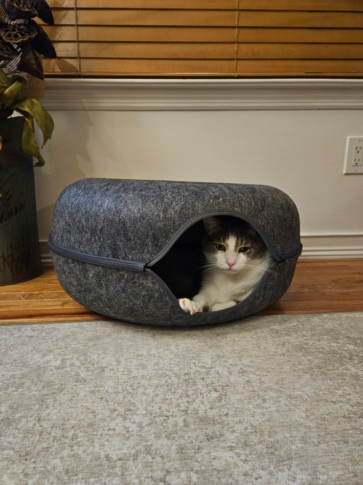 CatNap Donut Bed & Play Tunnel – Pawfectly Furry